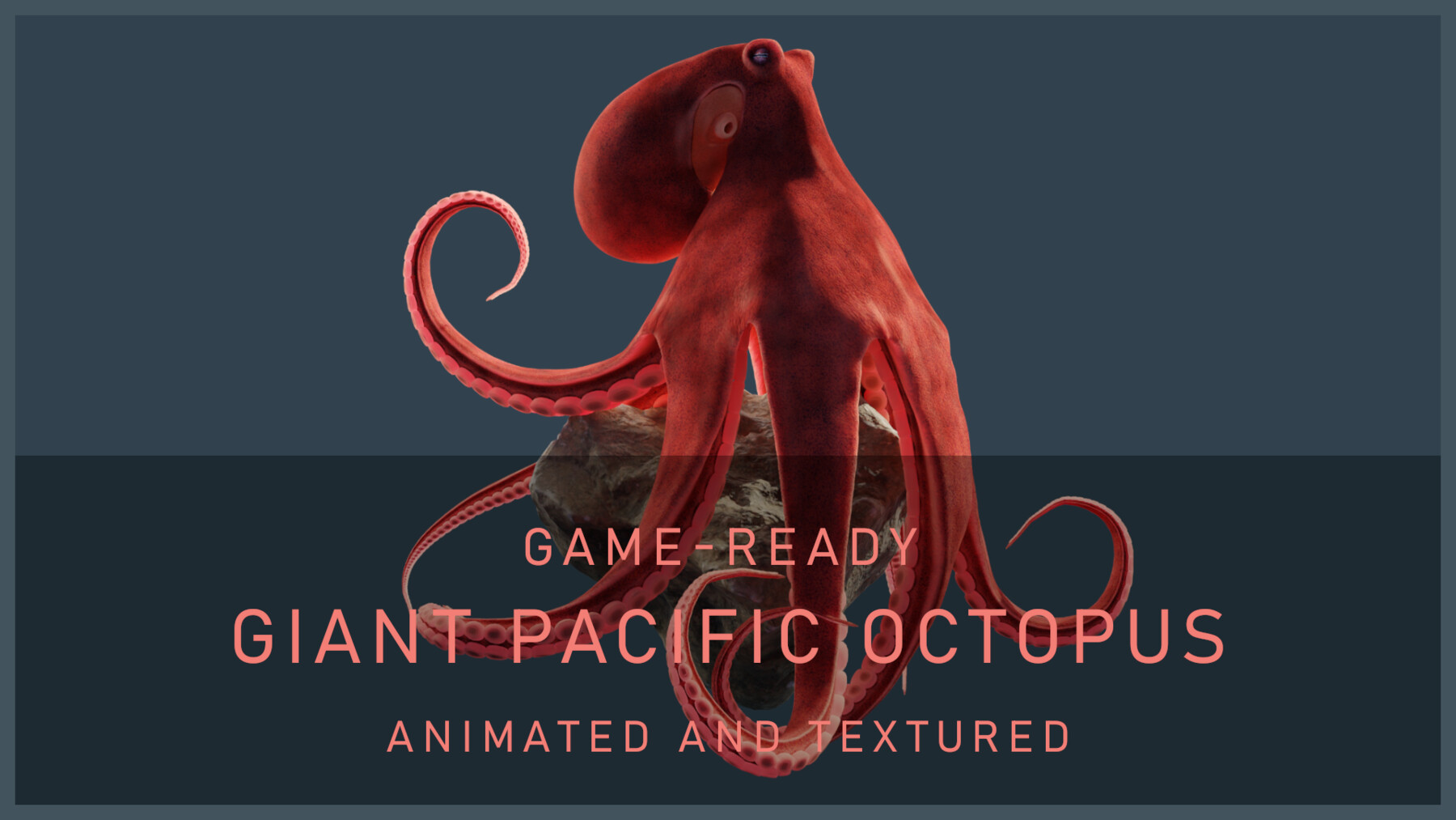 ArtStation - Animated Octopus- Giant Pacific | Game Assets