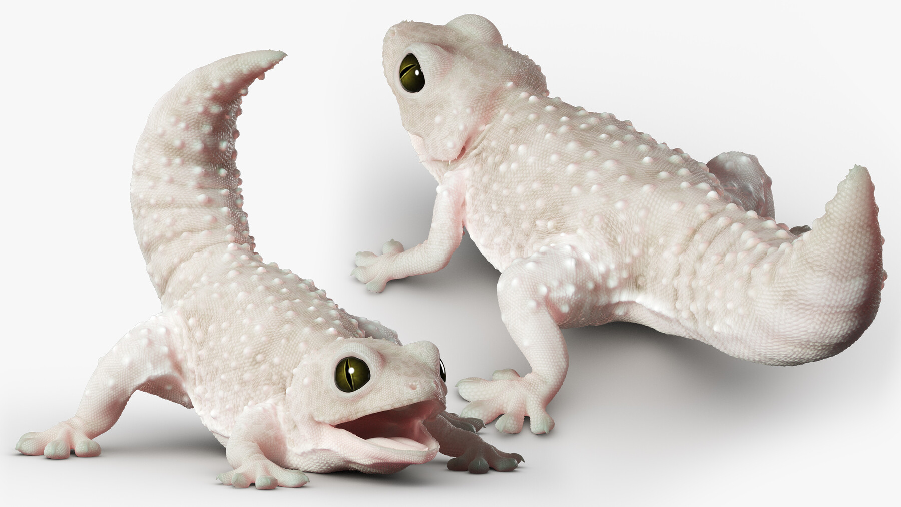 ArtStation - Gecko Reptile | Game Assets