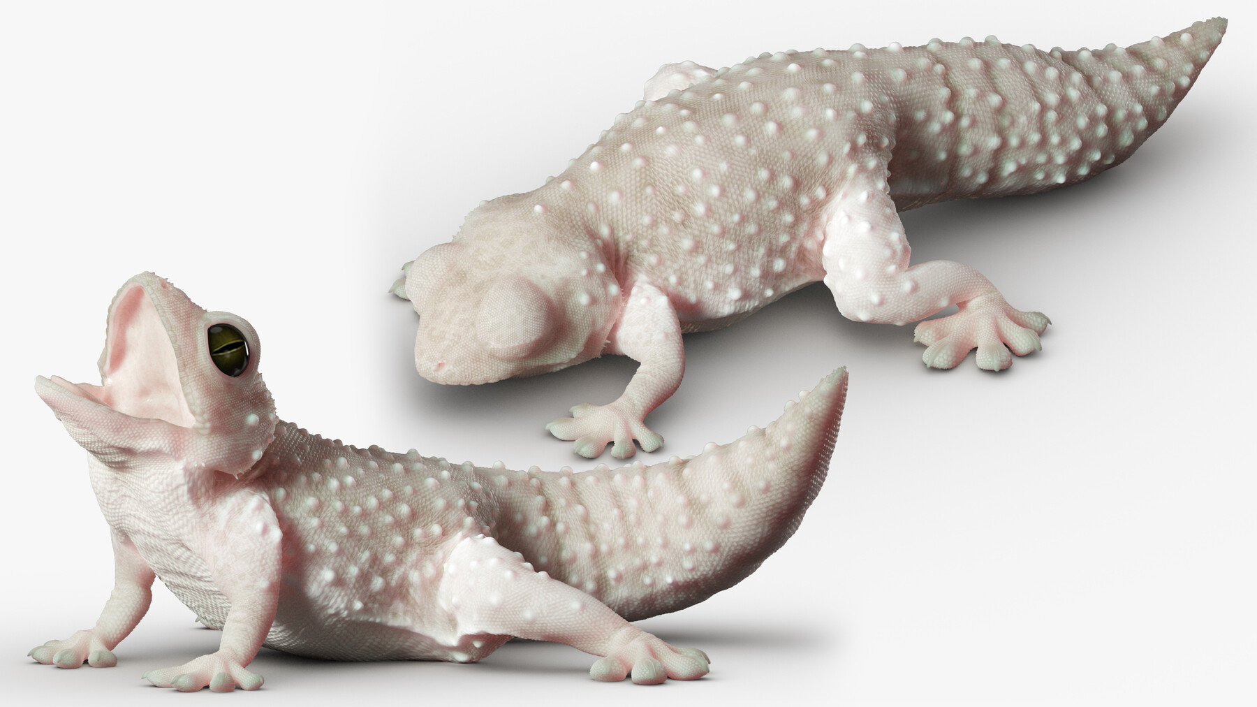 ArtStation - Gecko Reptile | Game Assets