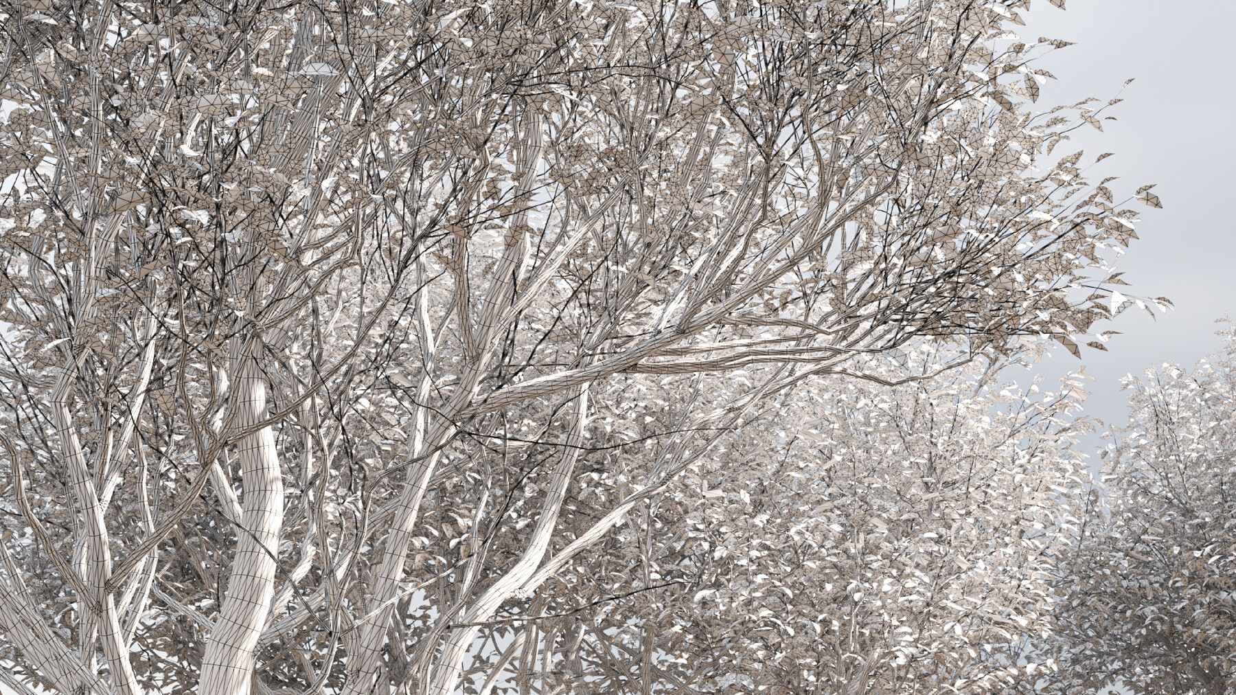 ArtStation - 6 Tree 3d models_Vol 01 | Resources