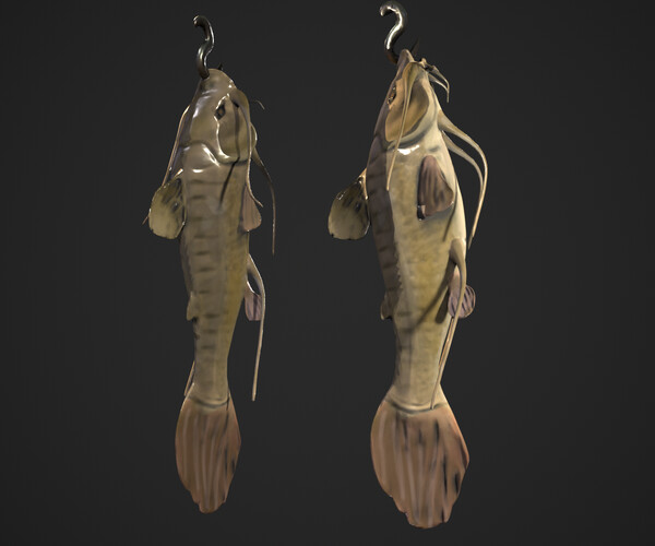 ArtStation - Giant Catfish | Game Assets