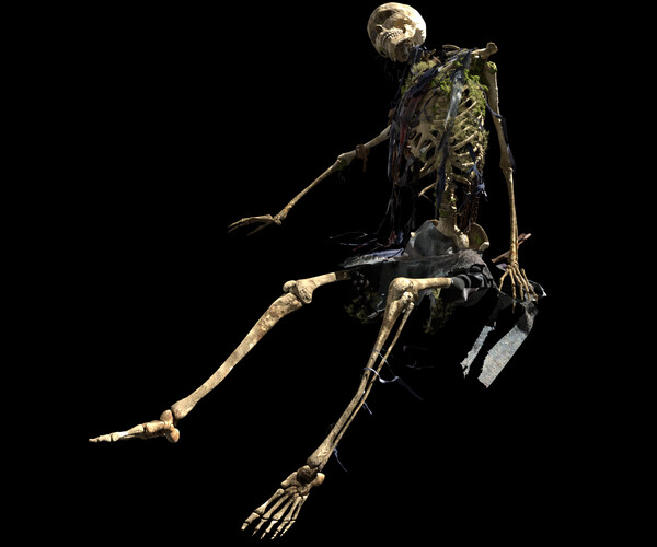 ArtStation - Skeleton_corroded | Resources