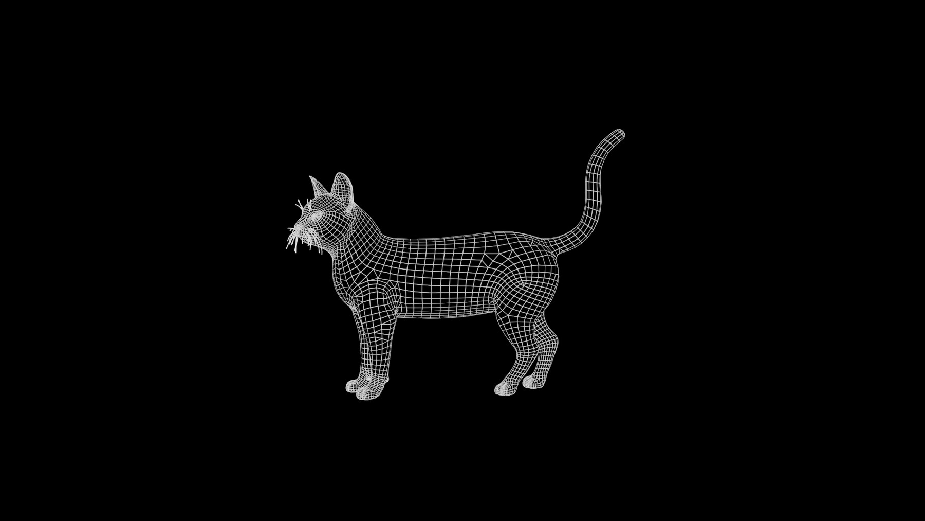 ArtStation - Cat Tabby 3D model | Game Assets