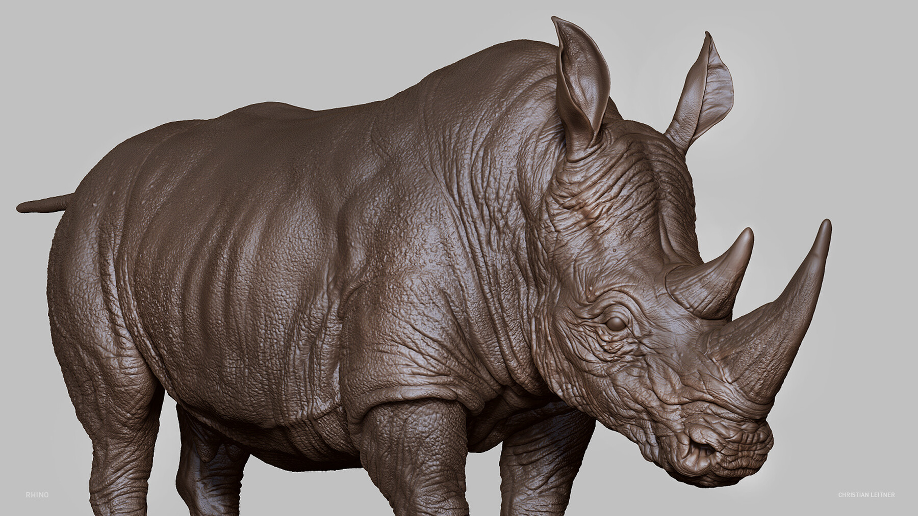 ArtStation - RHINO | Resources