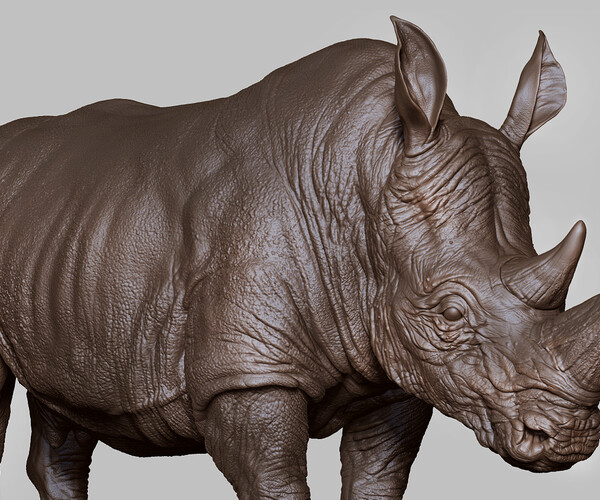 ArtStation - RHINO | Resources