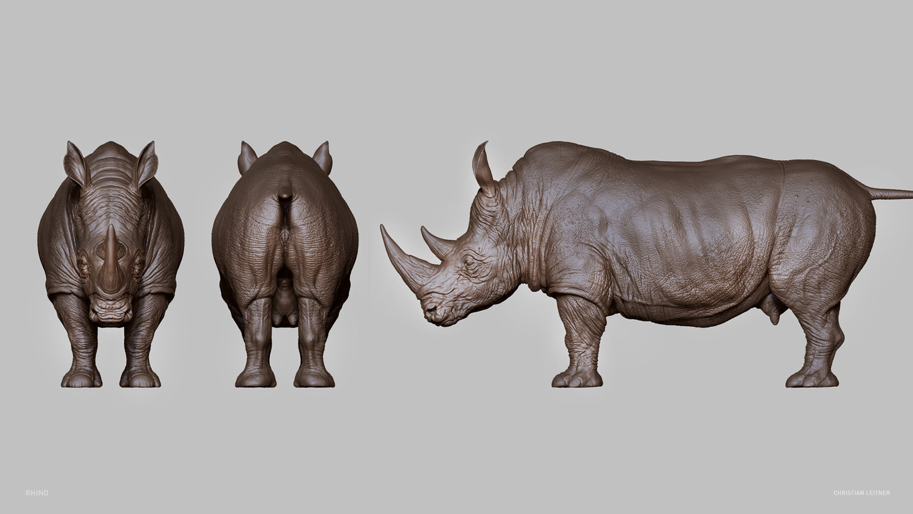 ArtStation - RHINO | Resources