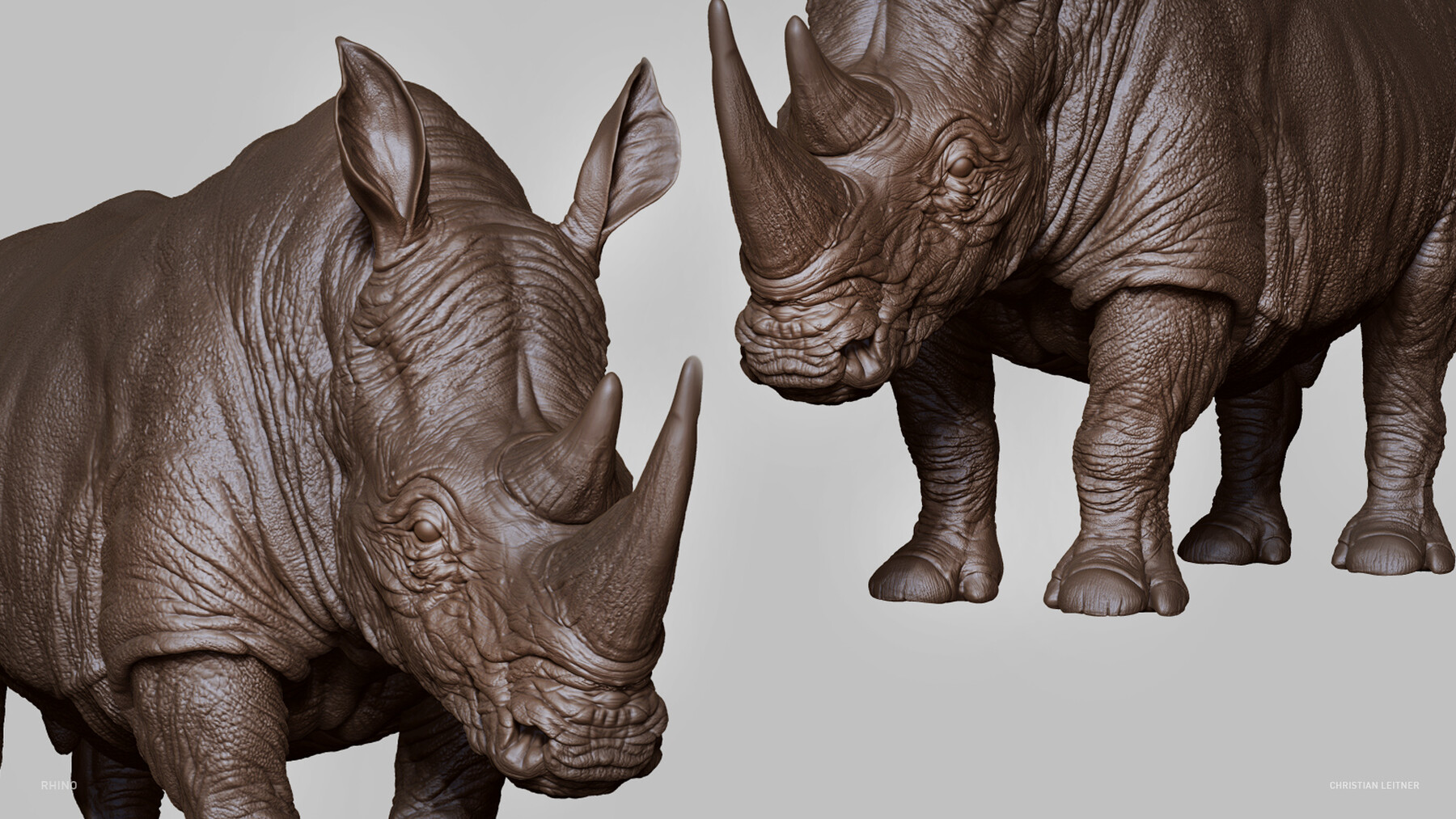 ArtStation - RHINO | Resources