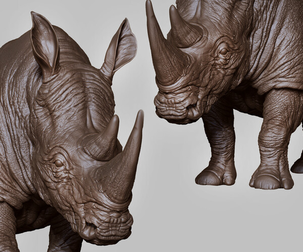 ArtStation - RHINO | Resources