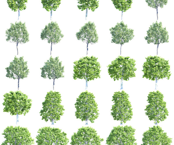 ArtStation - Tree cutout png 4k & psd (Alder, Maple, Weeping willow ...