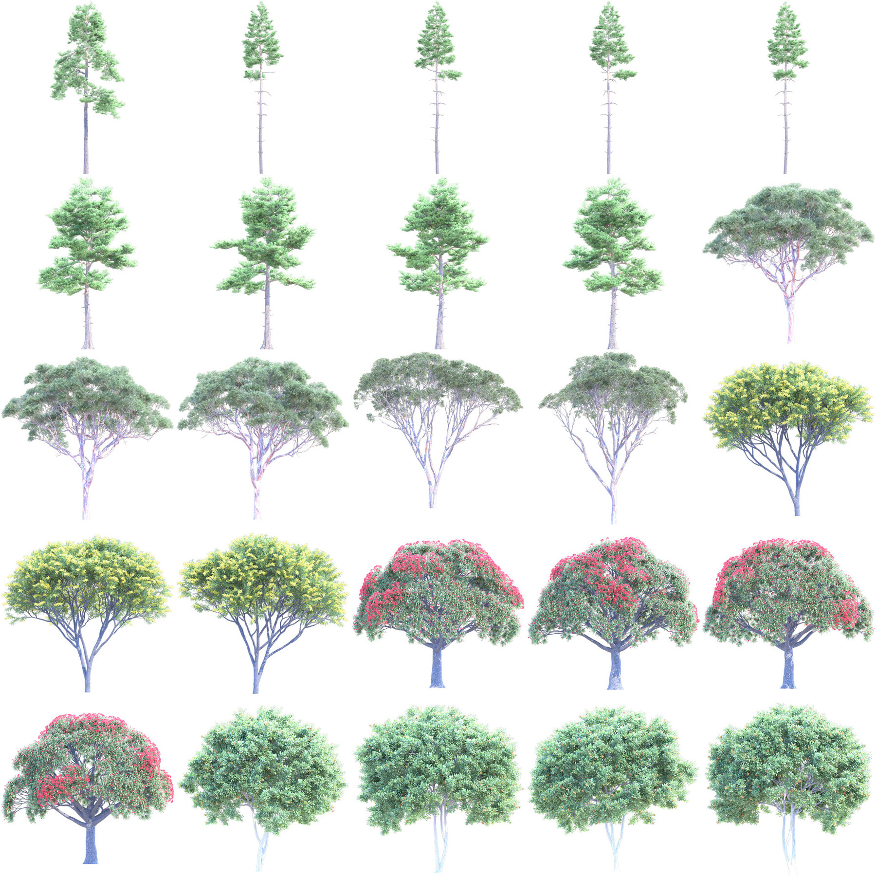 ArtStation - Tree cutout png 4k & psd (Alder, Maple, Weeping willow ...