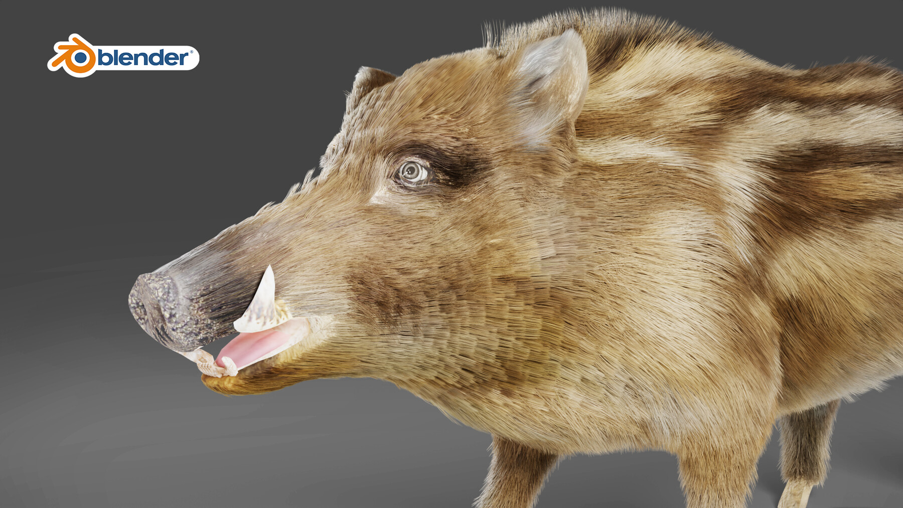 ArtStation - Fur Wild Boar Rigged and Animation V03 | Game Assets