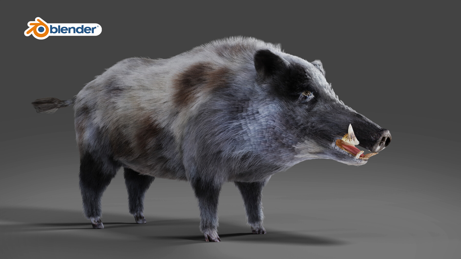 ArtStation - Fur Wild Boar V04 Rigged and Animation | Game Assets