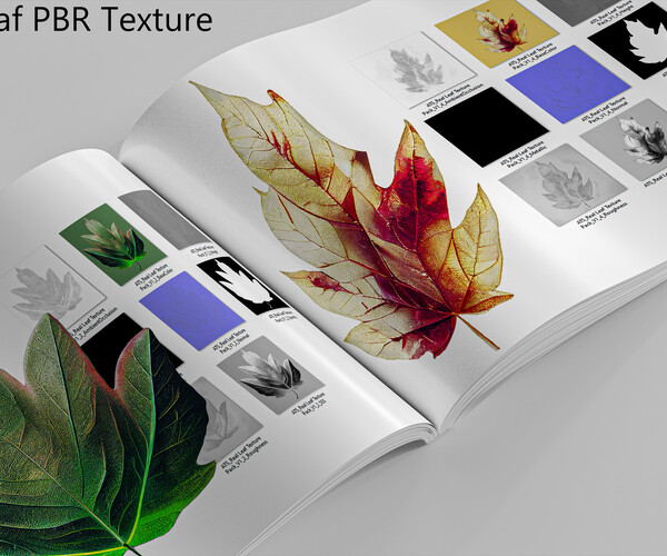 ArtStation - 96 Real Leaf Pack - PBR Texture - 4k - with Alpha Map ...