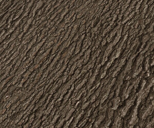 ArtStation - Sweetgum Tree Bark Vol.2 | Resources