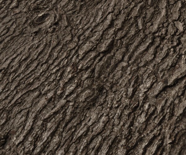 ArtStation - Sweetgum Tree Bark Vol.3 | Resources