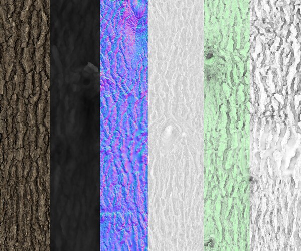 ArtStation - Sweetgum Tree Bark Vol.3 | Resources