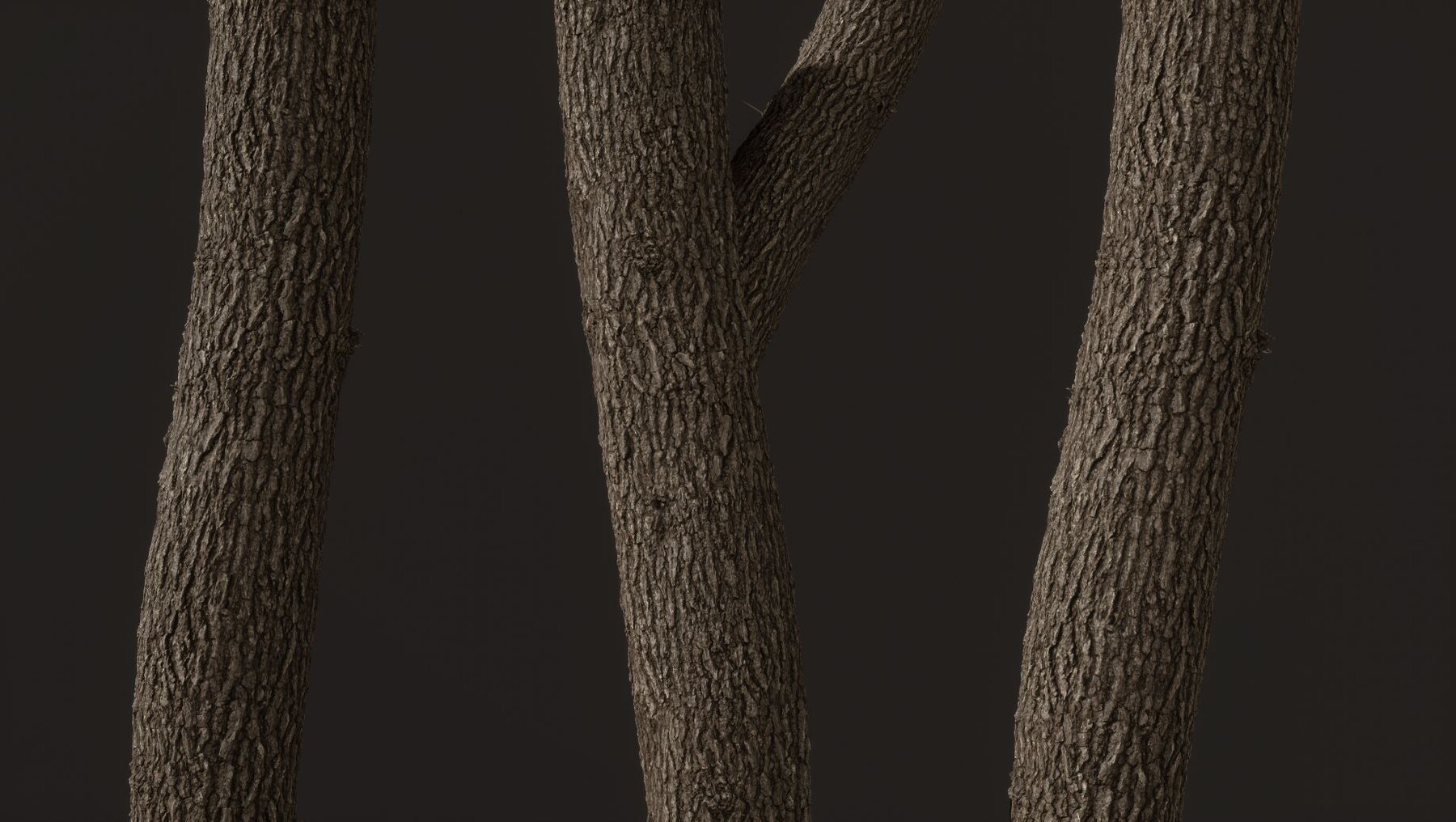 ArtStation - Sweetgum Tree Bark Vol.3 | Resources