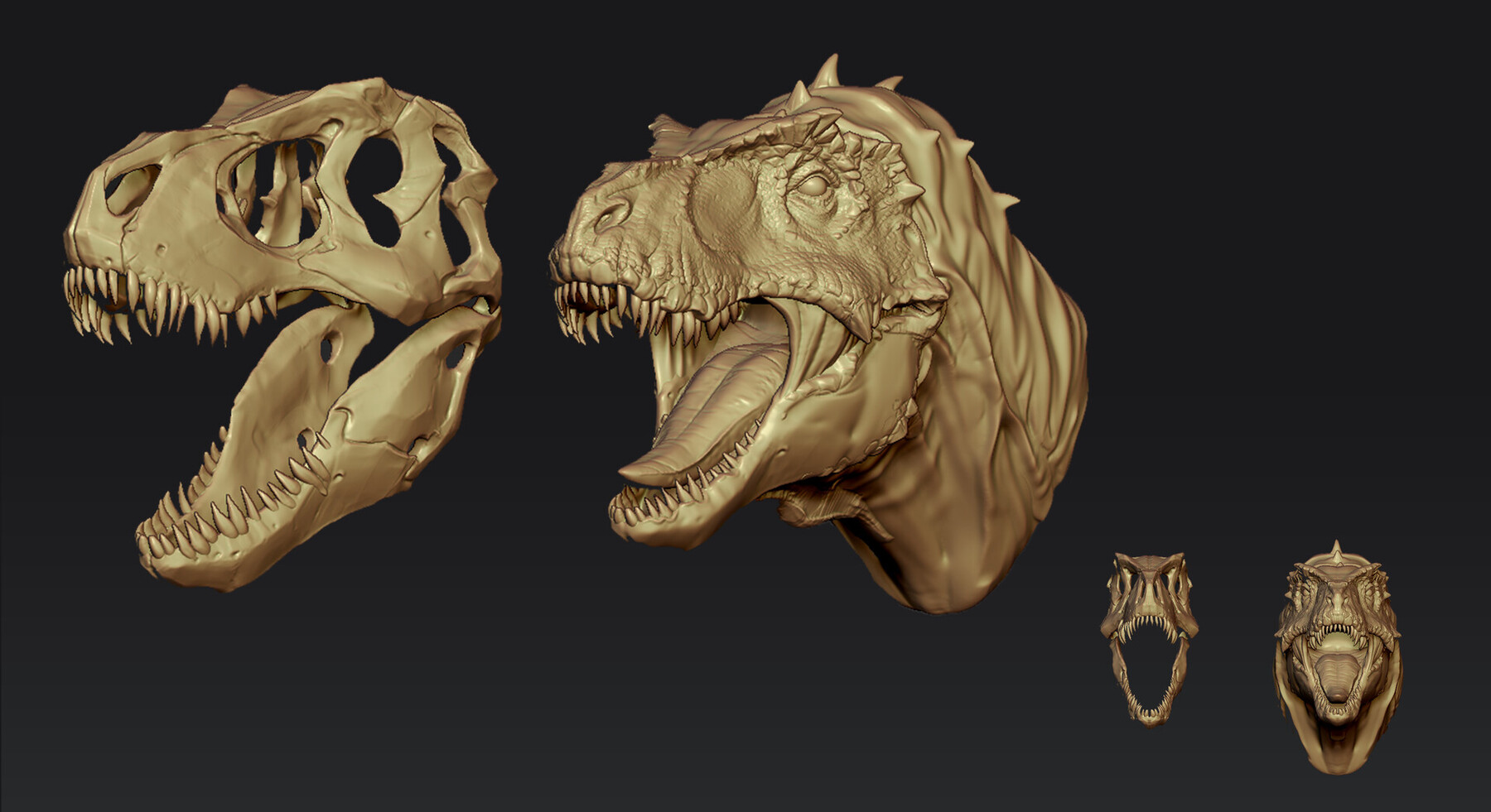 ArtStation - Dinosaur anatomy | Resources