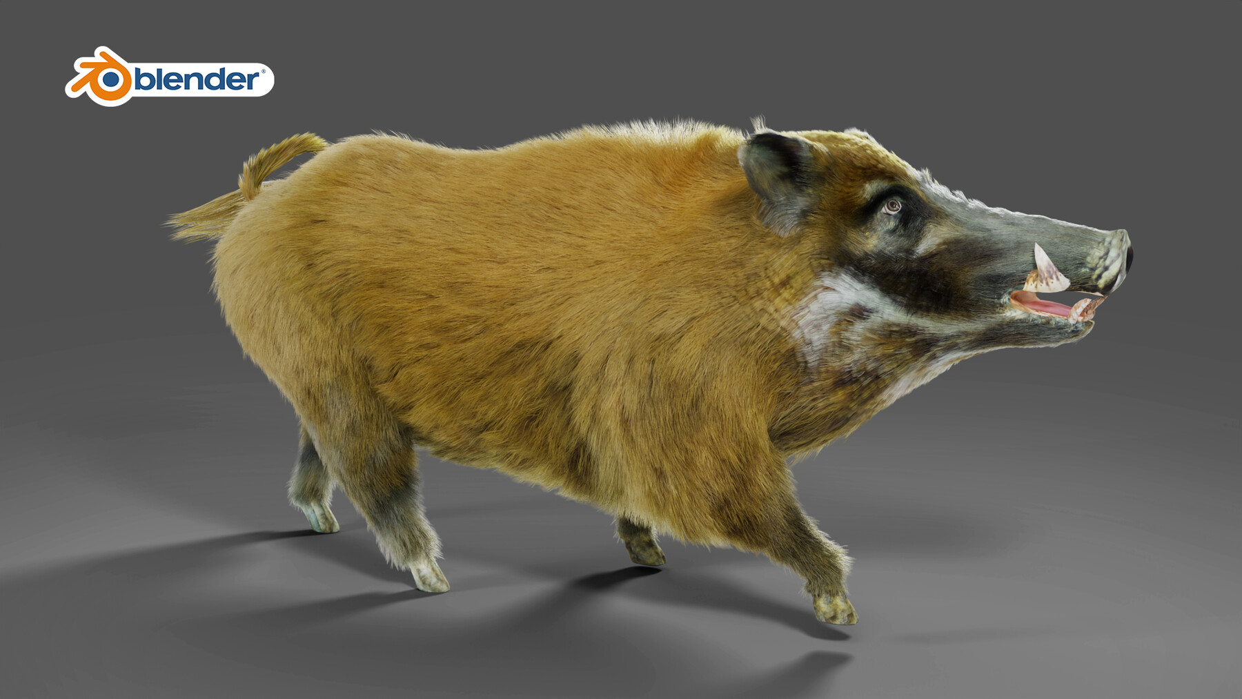 ArtStation - Fur Wild Boar Rigged and Animation V05 | Game Assets