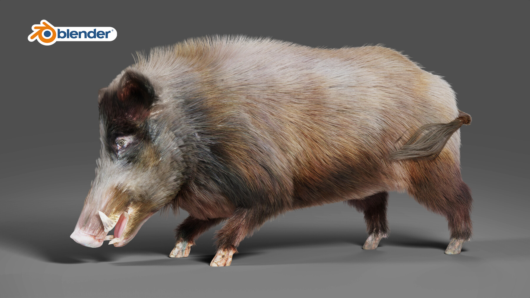 ArtStation - Fur Wild Boar V06 Rigged and Animation | Game Assets