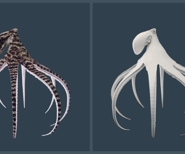 ArtStation - Animated Octopus- Mimic | Game Assets