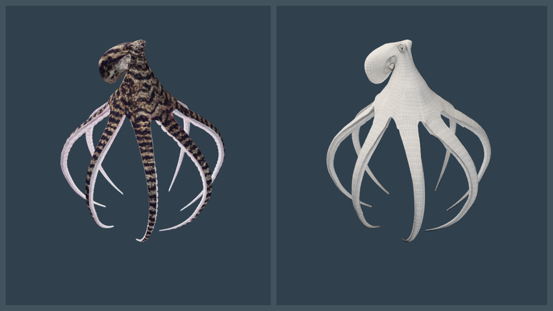 ArtStation - Animated Octopus- Mimic | Game Assets