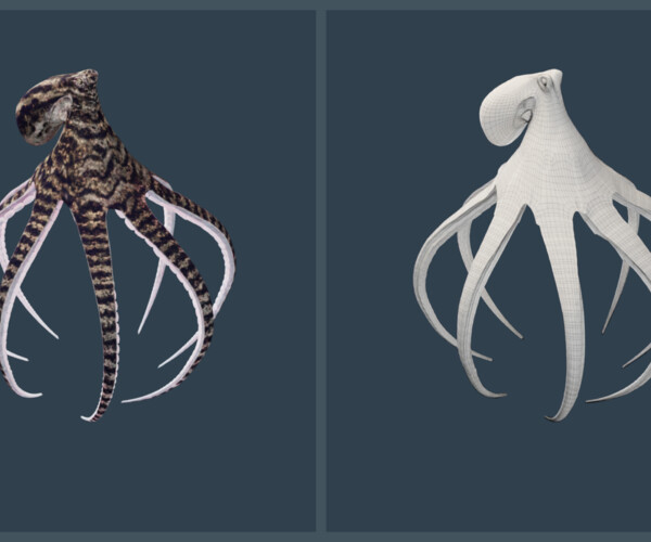 ArtStation - Animated Octopus- Mimic | Game Assets