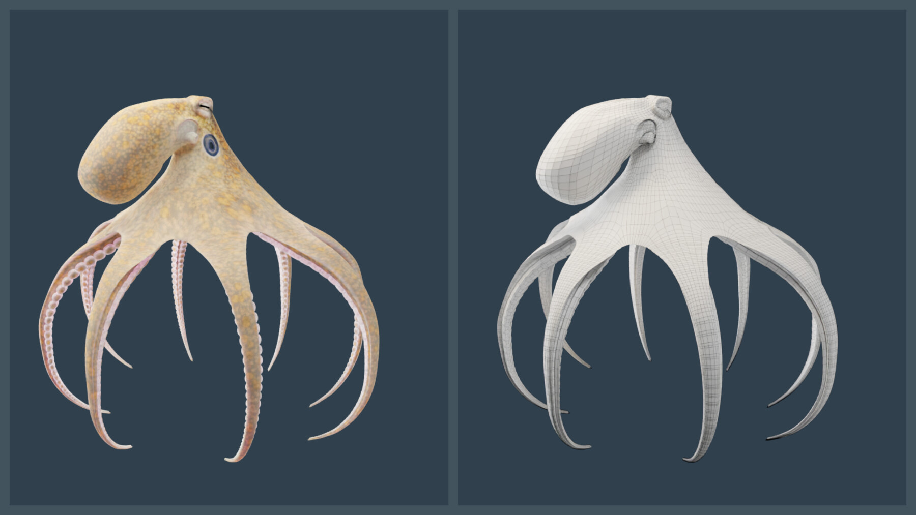 ArtStation - Animated Octopus- California Two-Spot | Game Assets