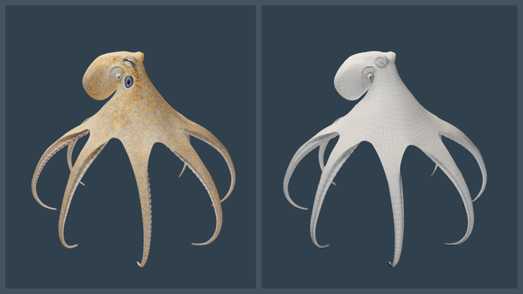 ArtStation - Animated Octopus- California Two-Spot | Game Assets