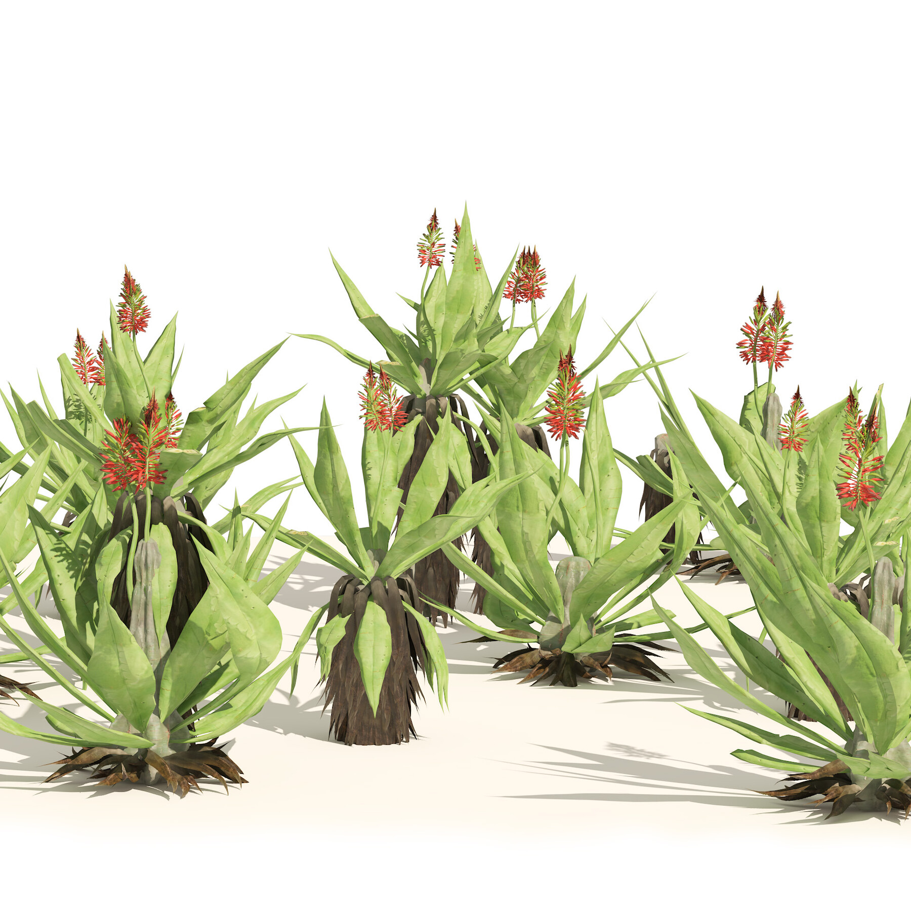 ArtStation - Aloe Vera Cluster | Game Assets
