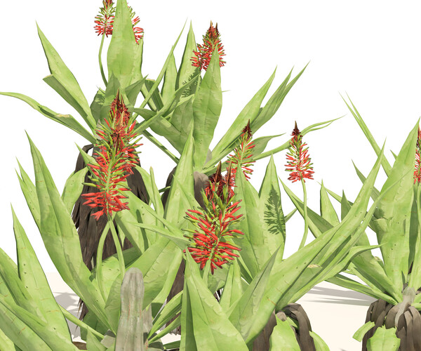 ArtStation - Aloe Vera Cluster | Game Assets
