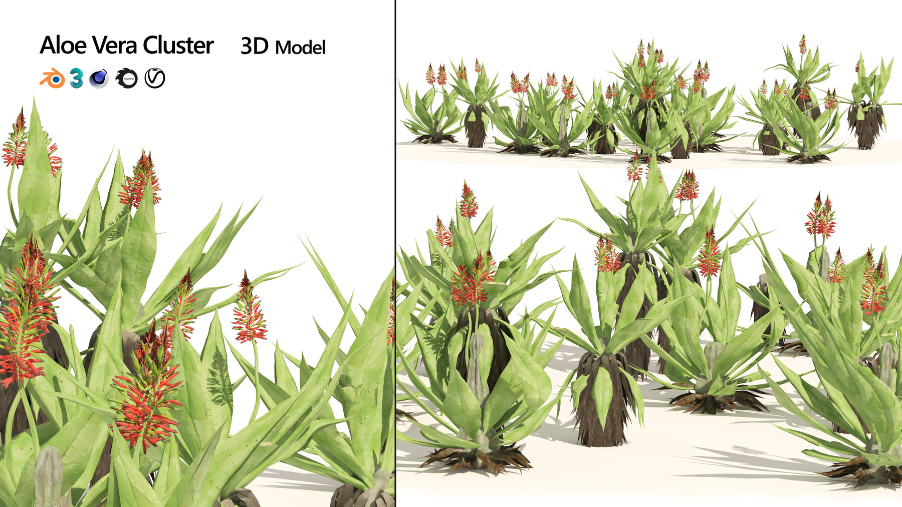 ArtStation - Aloe Vera flowers cluster | Resources