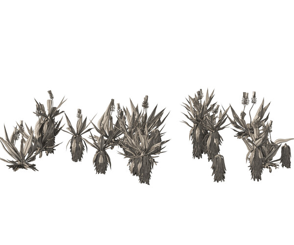 ArtStation - Aloe Vera flowers cluster | Resources