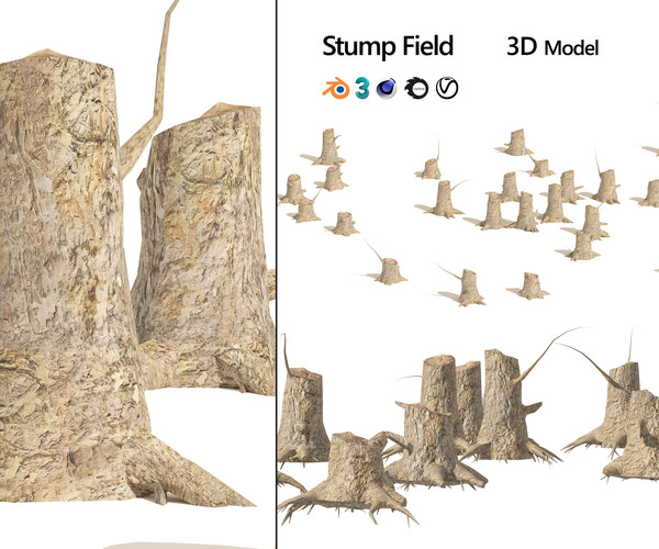 ArtStation - Tree stump field | Resources