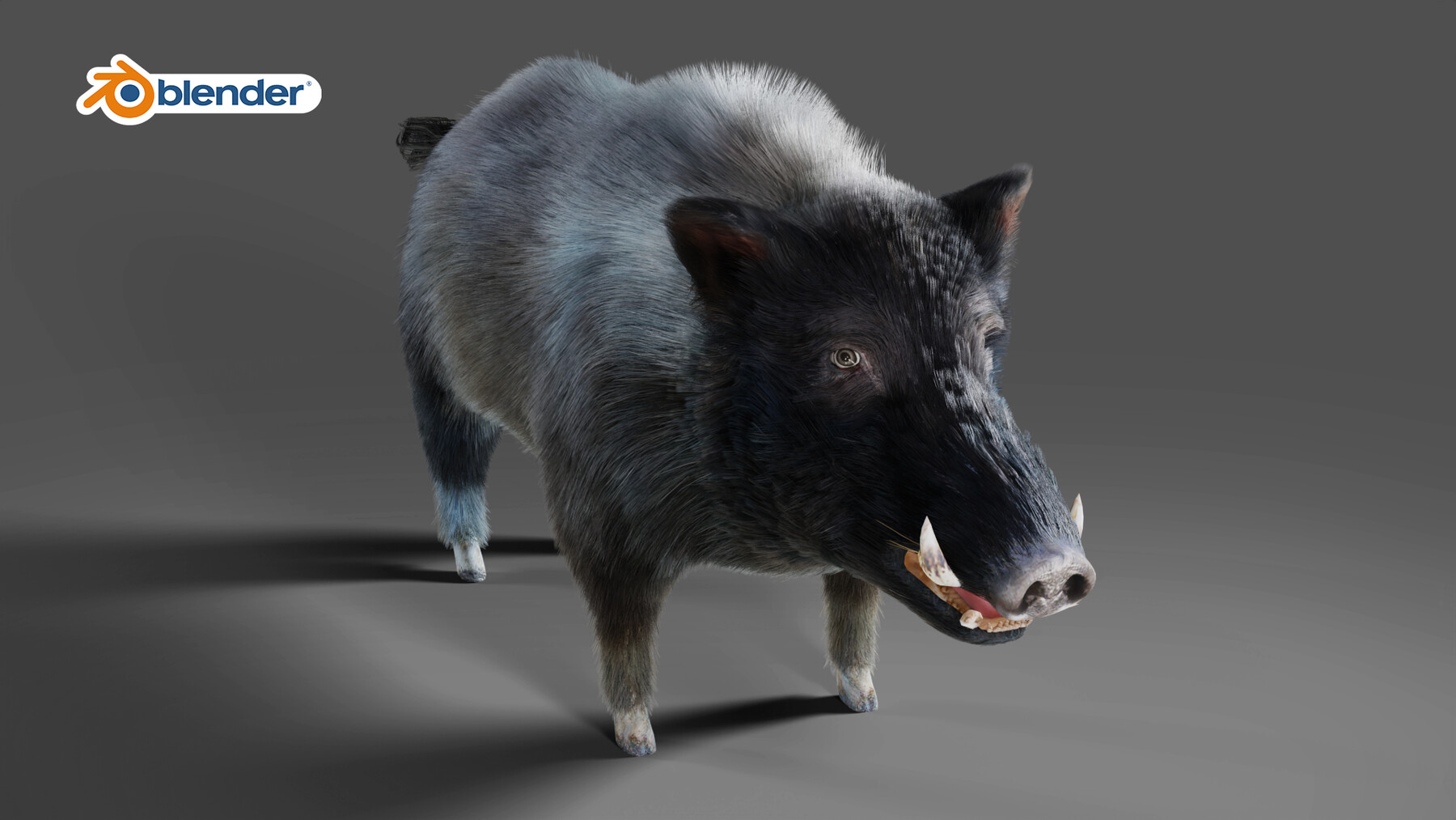 ArtStation - Fur Wild Boar V07 Rigged and Animation | Game Assets