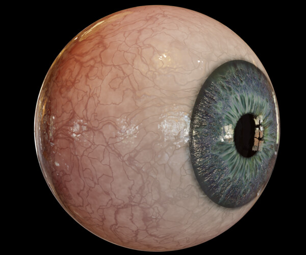 ArtStation - Hyper-Realistic Eye Rig (Blender) | Resources