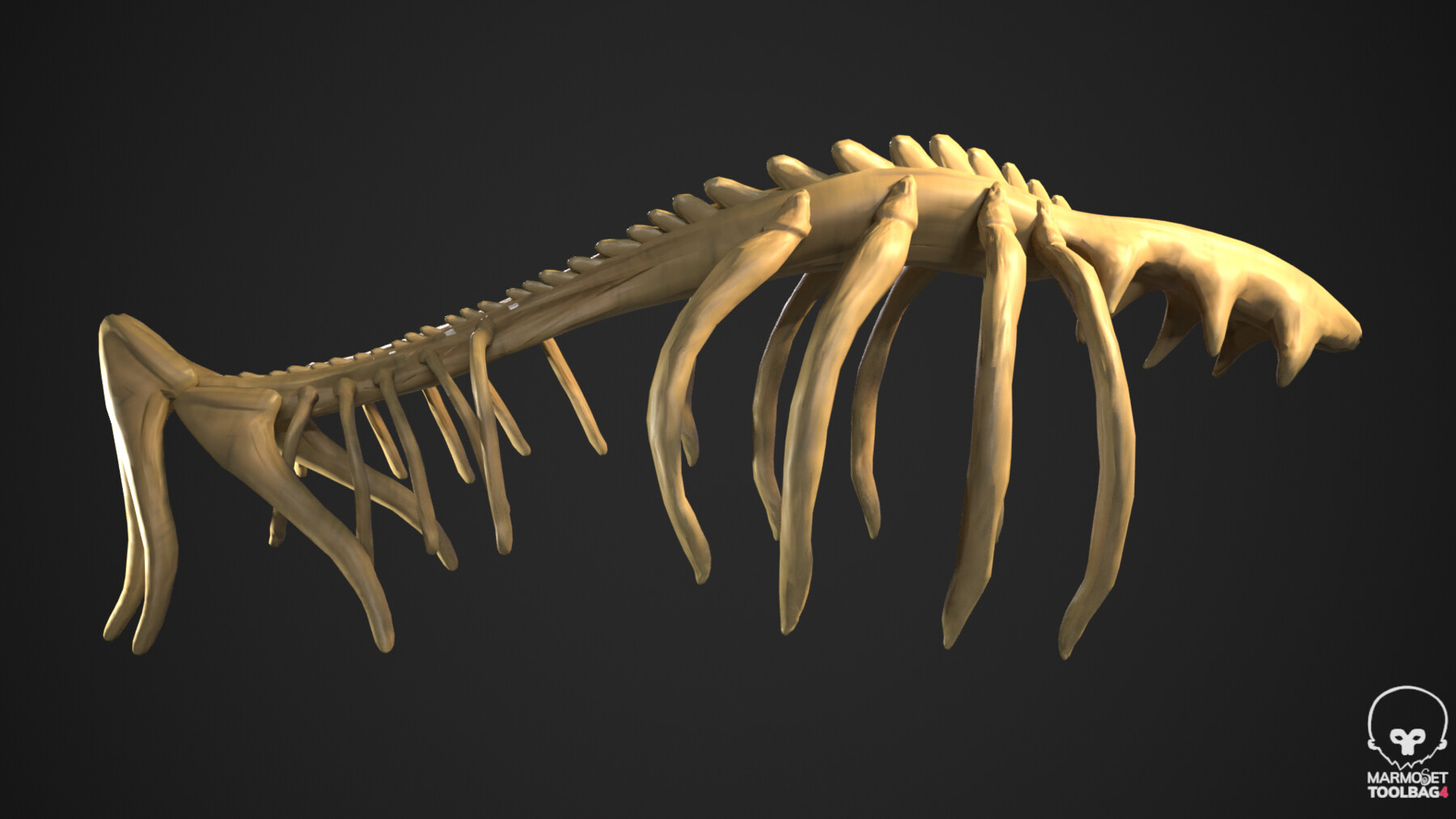 ArtStation - Whale Bones | Game Assets