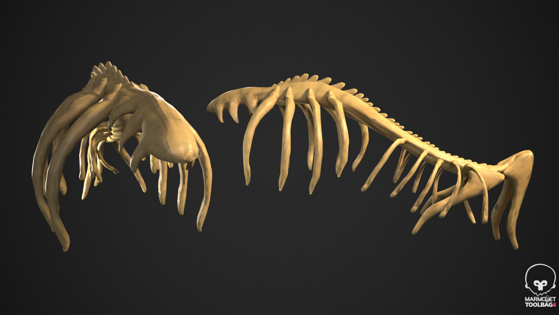 ArtStation - Whale Bones | Game Assets