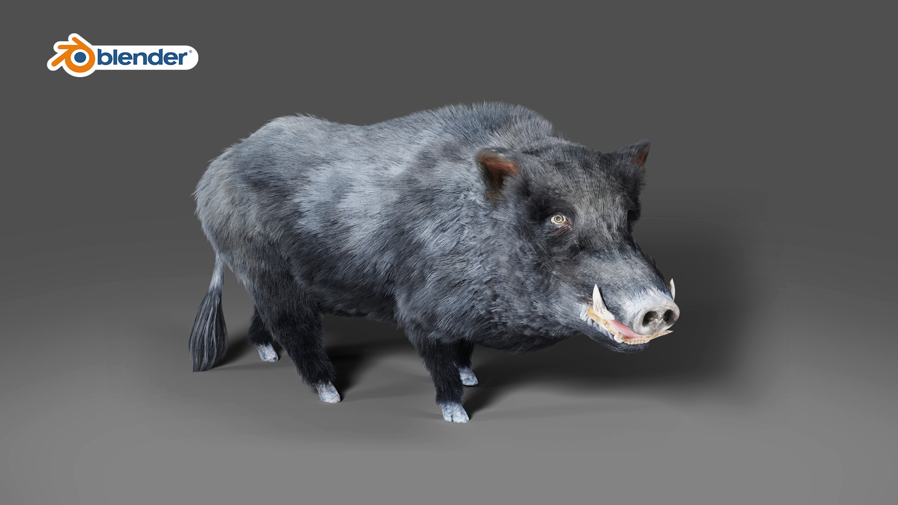 ArtStation - Fur Wild Boar V09 Rigged and Animation | Game Assets