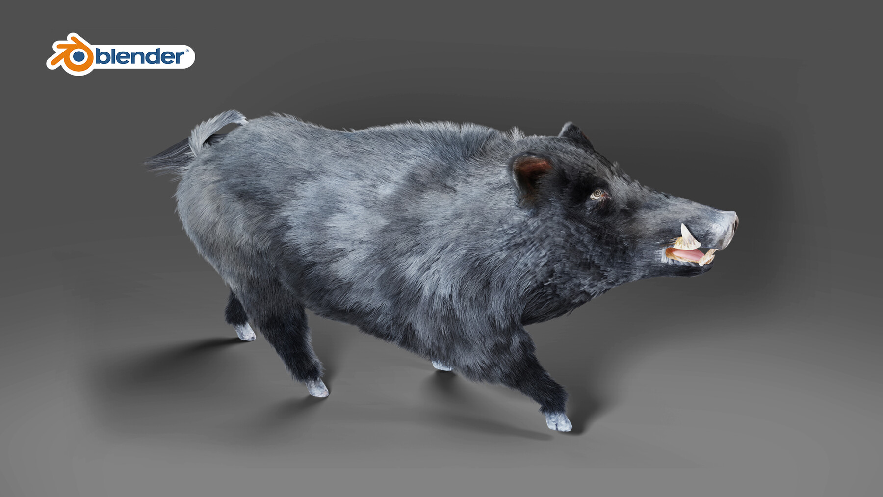 ArtStation - Fur Wild Boar V09 Rigged and Animation | Game Assets
