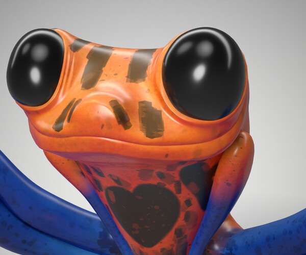 ArtStation - Orange Rainforest Frog Stylized | Game Assets