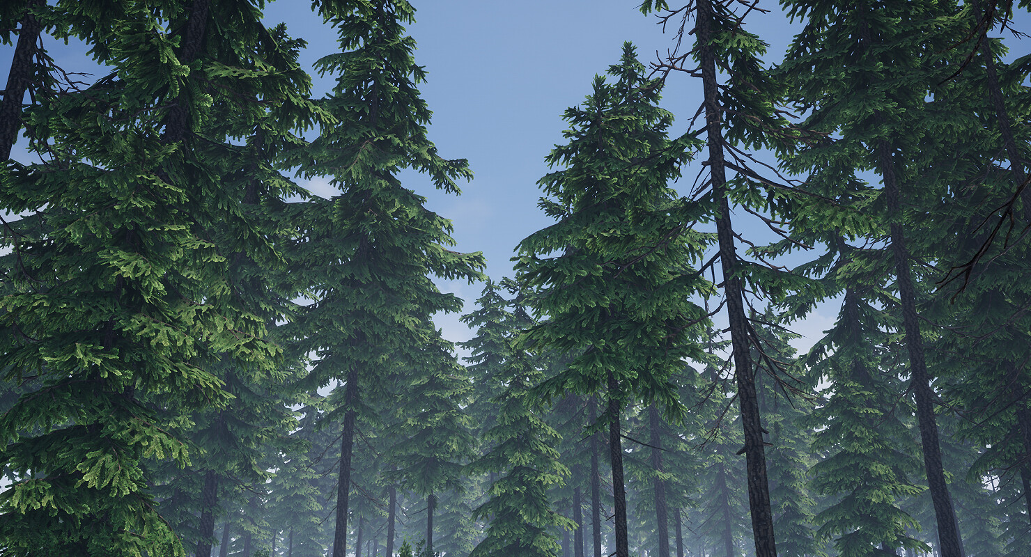 ArtStation - Fir Pine Tree Pack | Game Assets