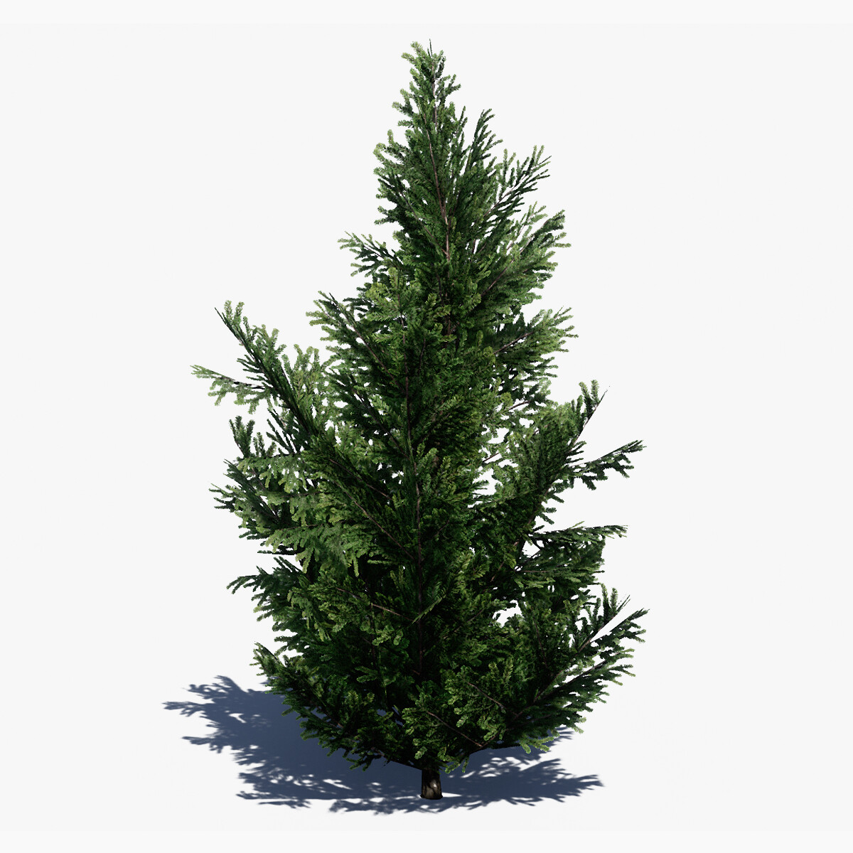 ArtStation - Fir Pine Tree Pack | Game Assets