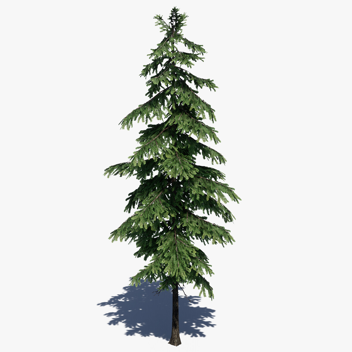 ArtStation - Fir Pine Tree Pack | Game Assets