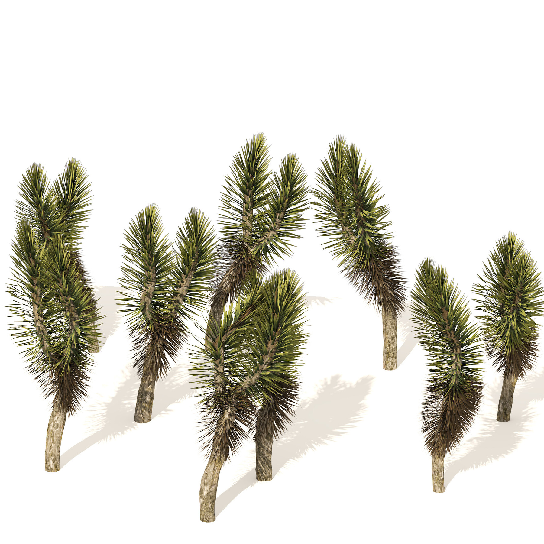 ArtStation - Dracaena Draco trees | Game Assets