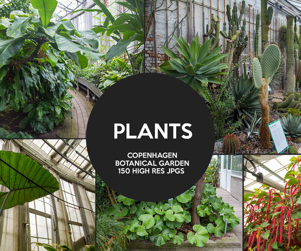 ArtStation - PLANTS - BOTANICAL GARDEN | Resources