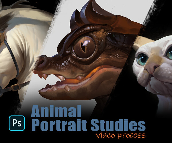 ArtStation - Animal Portrait Studies | Tutorials
