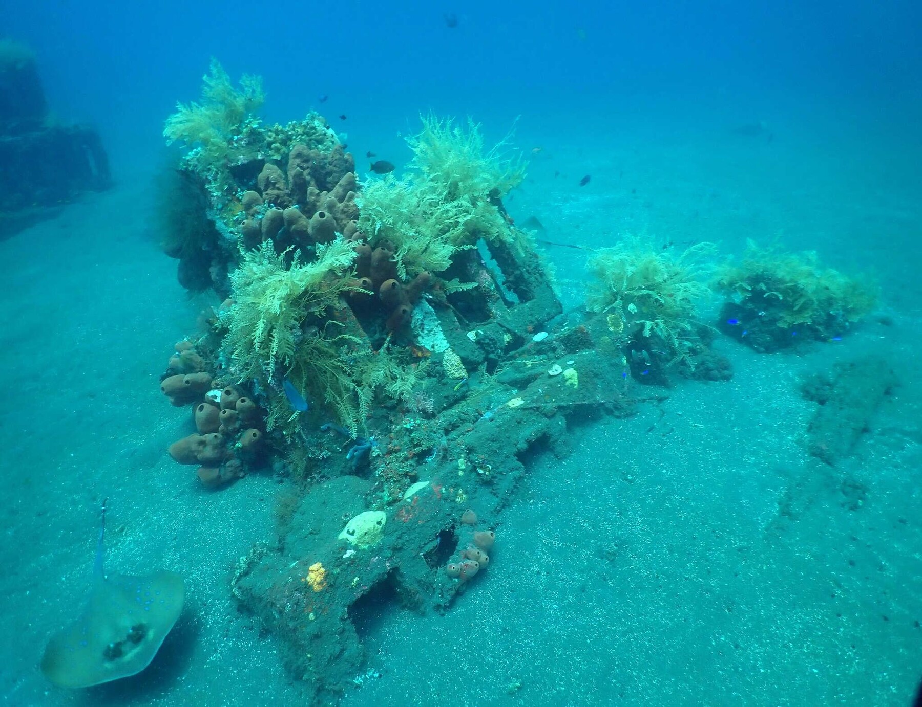 ArtStation - 166 photos of Coral Pyramid Structures | Resources