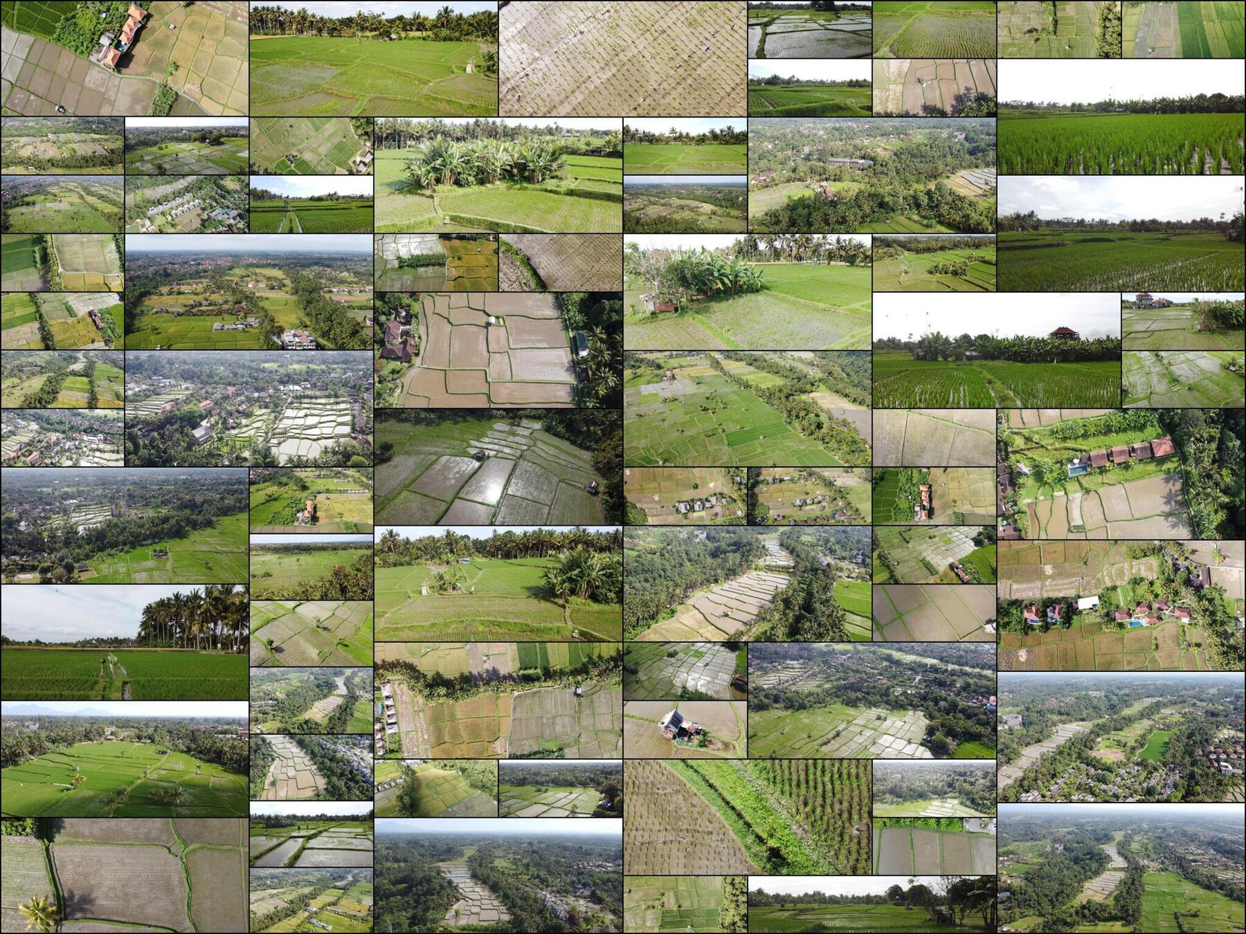 ArtStation - 216 photos of Bali Rice Paddies | Resources