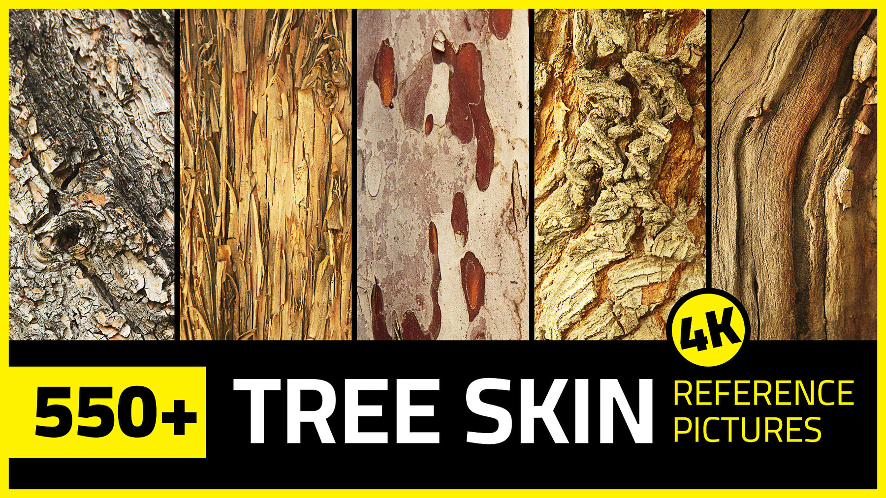 ArtStation - 550+ TREE SKIN Reference Pictures | Resources